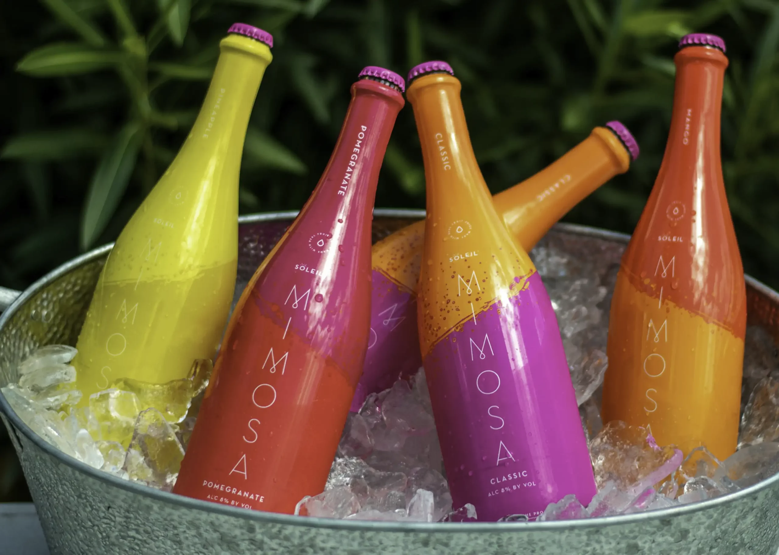 Soleil Mimosa - VINT Studio | Wine Label Design, Spirits Packaging ...